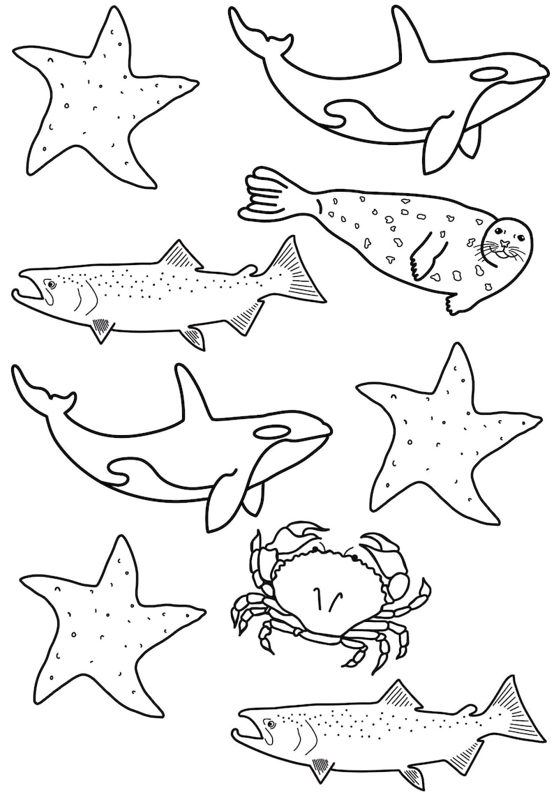 Printable Pacific Northwest Sea Creatures Coloring Page - Etsy