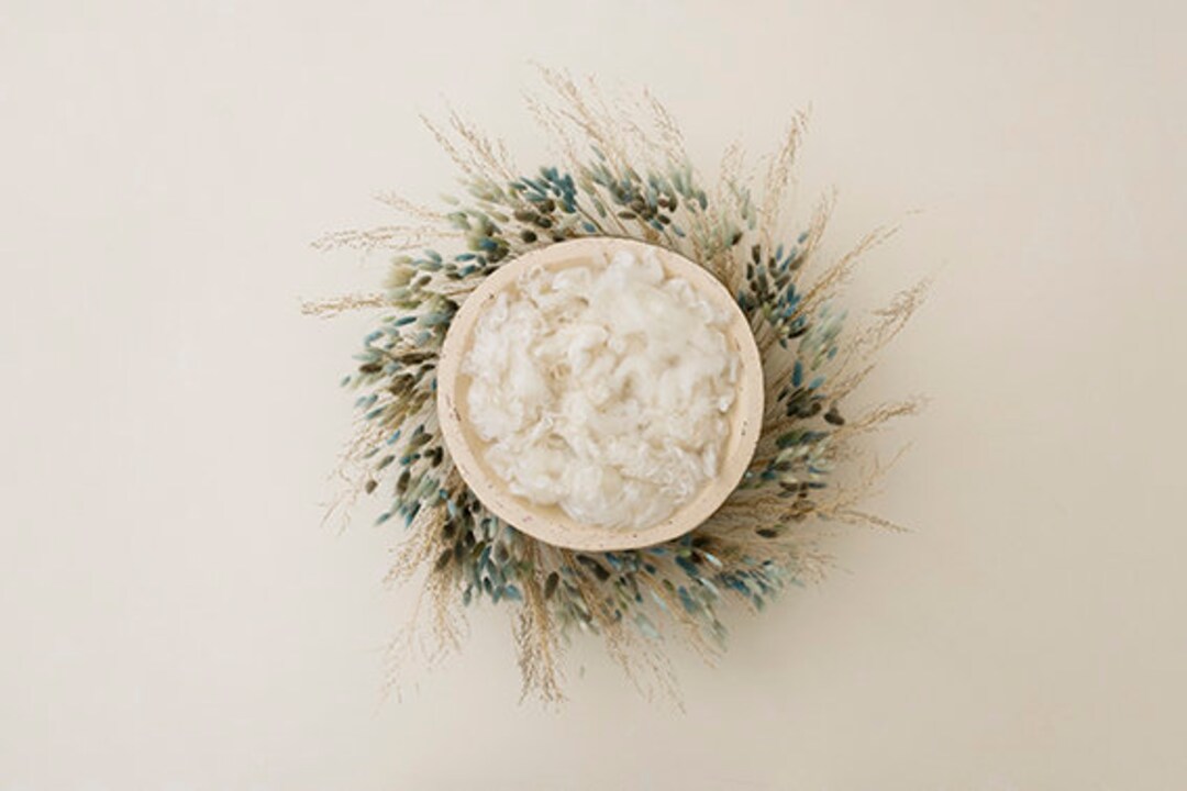 Divine Willow - Etsy Australia