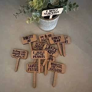 Funny Plant Wood Signs Garden Stakes Humor Garden or Indoor Plant Signs ...