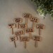 Funny Plant Wood Signs Garden Stakes Humor Garden or Indoor Plant Signs ...