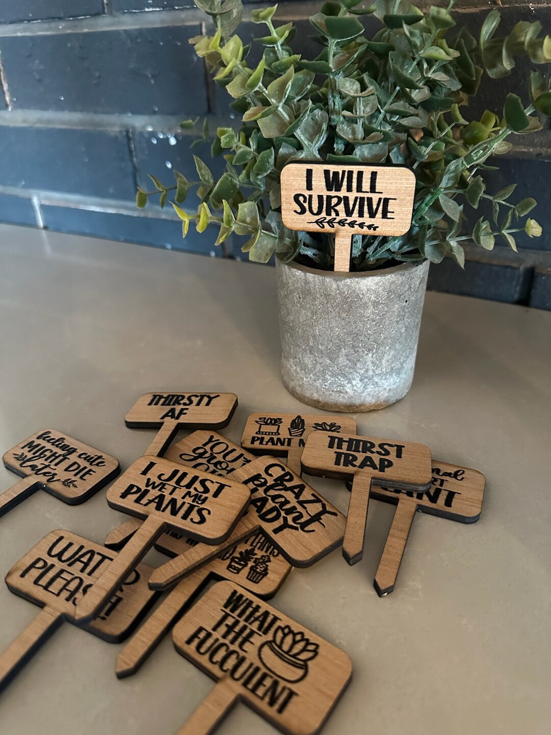 Funny Plant Wood Signs Garden Stakes - Humor Garden or Indoor Plant ...