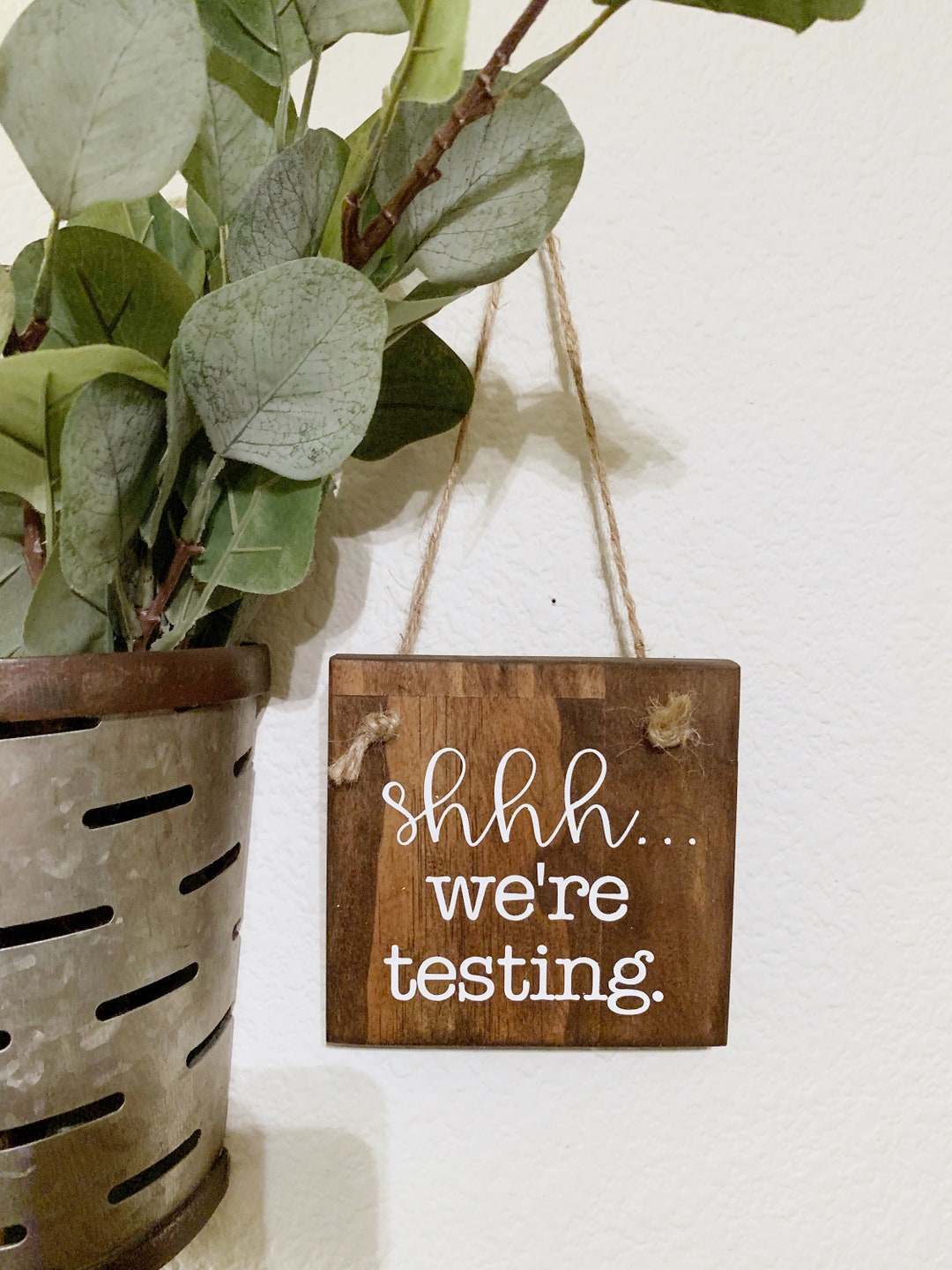 Shhh...we're Testing Testing Wood Sign Door Hanger Door - Etsy Australia