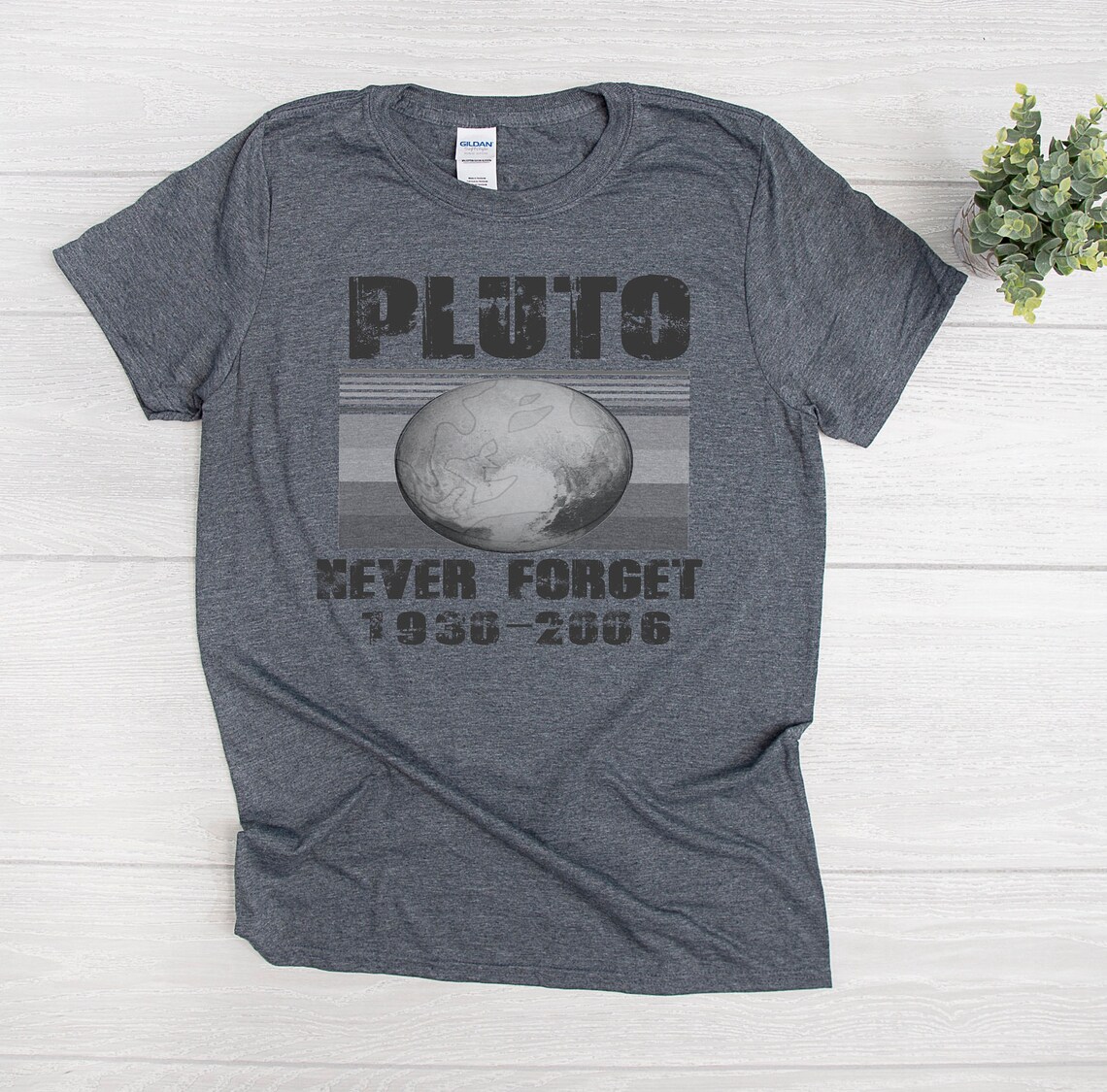 PLUTO, Never Forget, RIP Pluto, Pluto the Planet Shirt, Planet Shirt ...