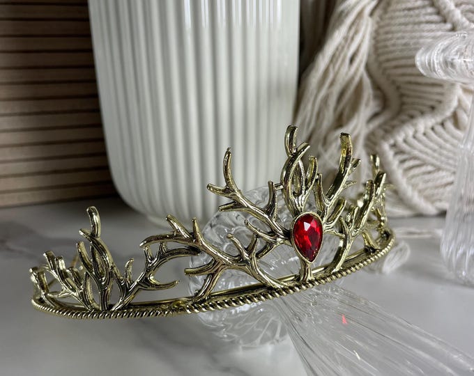 Aelin Galathynius Crown, Throne of Glass, the Lord of the North ...