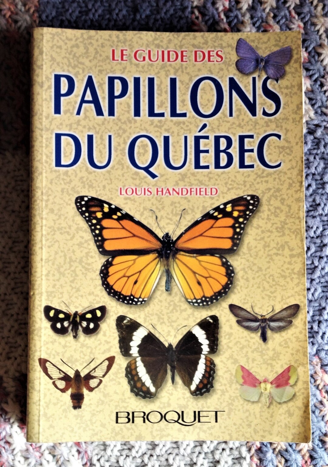 Butterflies of Quebec Guide by Louis Handfield (french Text) - Etsy