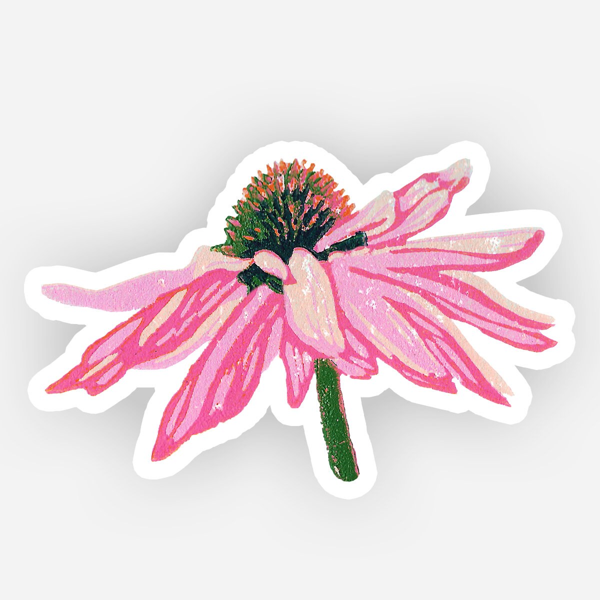 Echinacea Coneflower Vinyl Sticker - Etsy