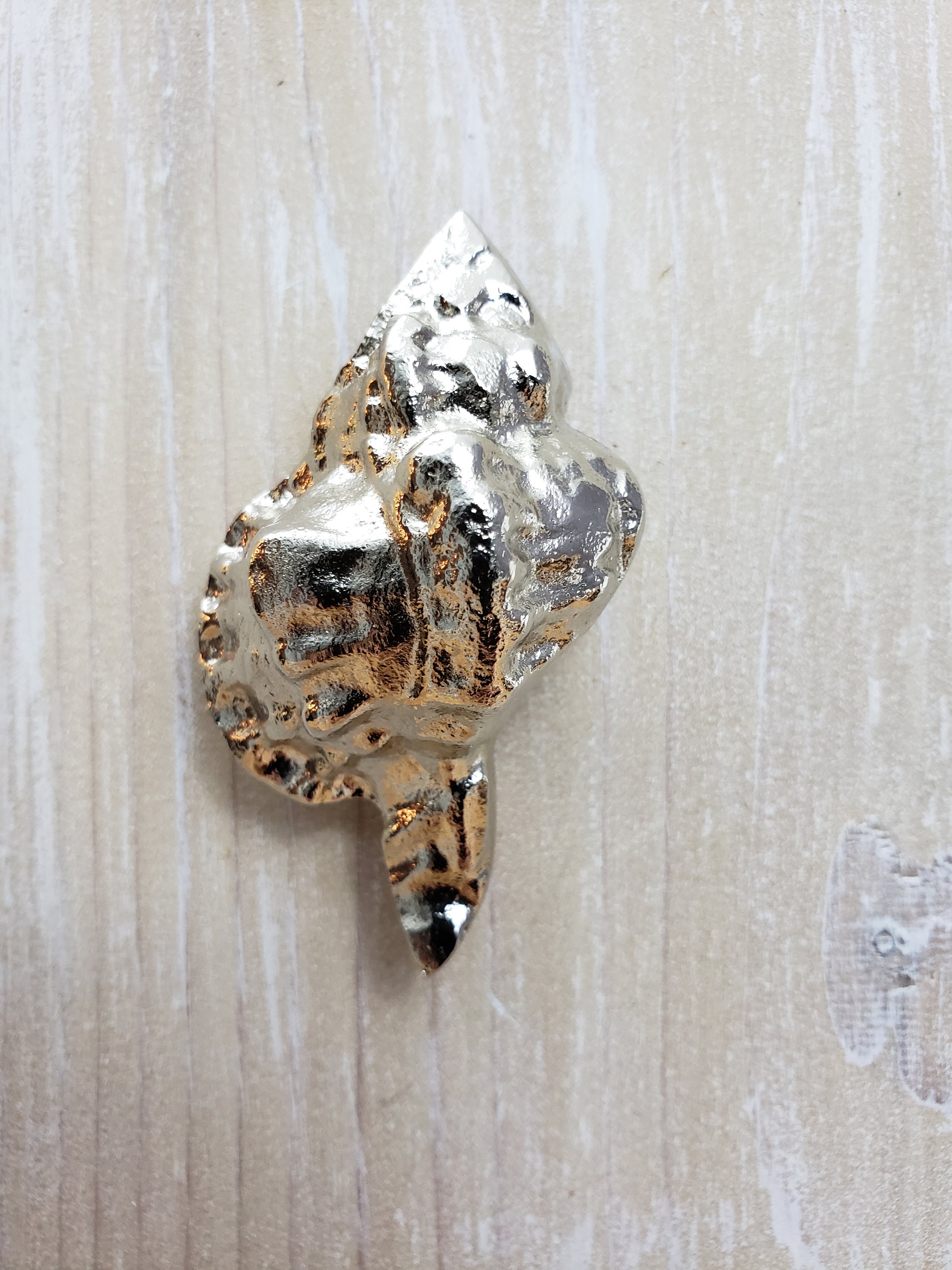 Cast Iron Conch Shell Drawer Pull Bright Nickel Finish - Etsy