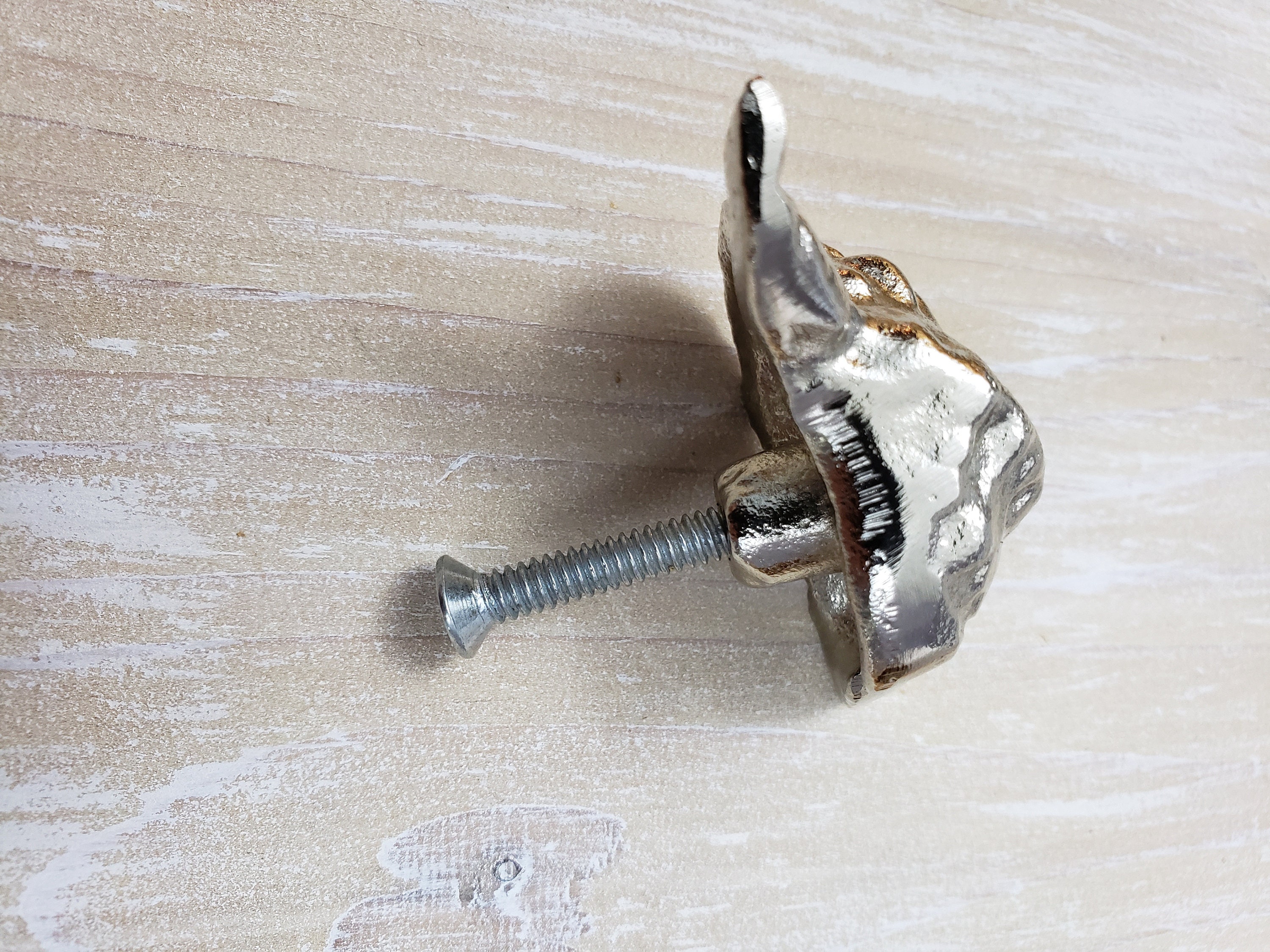 Cast Iron Conch Shell Drawer Pull Bright Nickel Finish - Etsy
