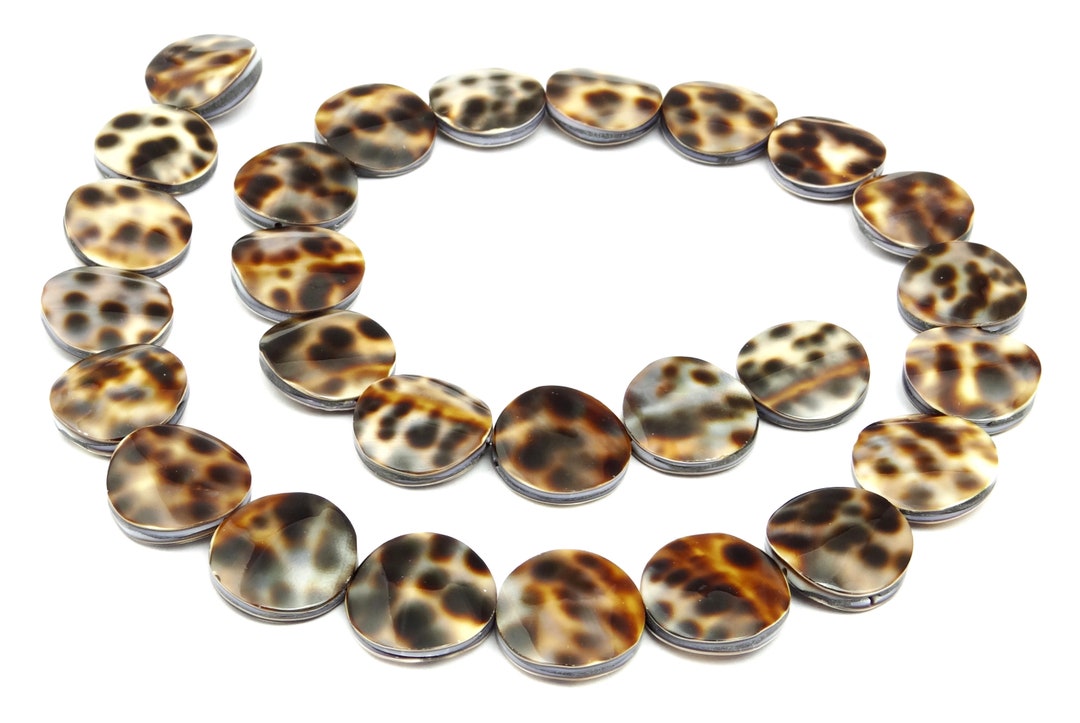 Tiger Cowrie Bead Coins in Two Sizes: Approx. 15 Mm & Approx. 20 Mm ...
