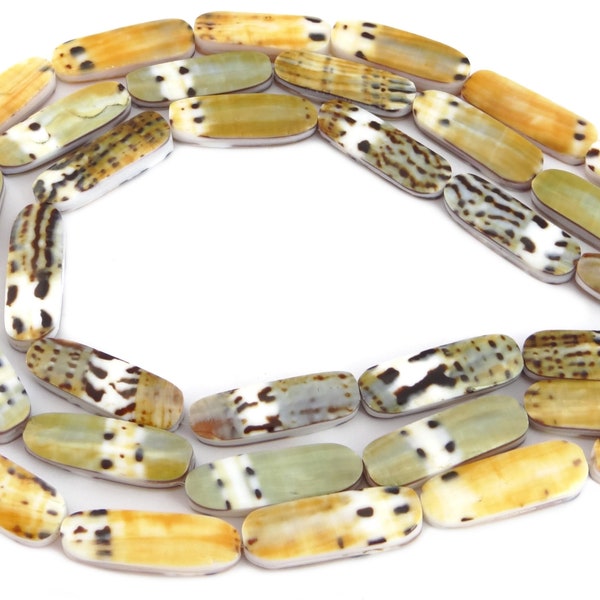 Snail Shell Beads - Etsy