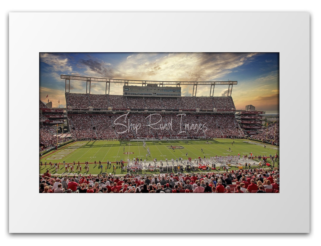 South Carolina Gamecocks Football Williams Brice Stadium FREE SHIPPING ...