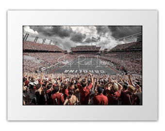 South Carolina Gamecocks Art - Etsy