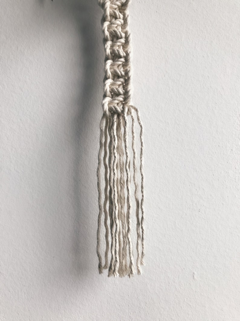 Single Macrame Air Plant Hanger Macrame Plant Hanger | Etsy