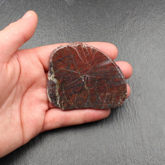 Home Décor Home & Living Tumbled Stone Scottish Red Jasper Scotland ...