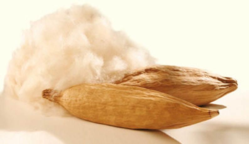 Kapok Loose Natural Filling Material Kapok Fibers for Yoga - Etsy UK