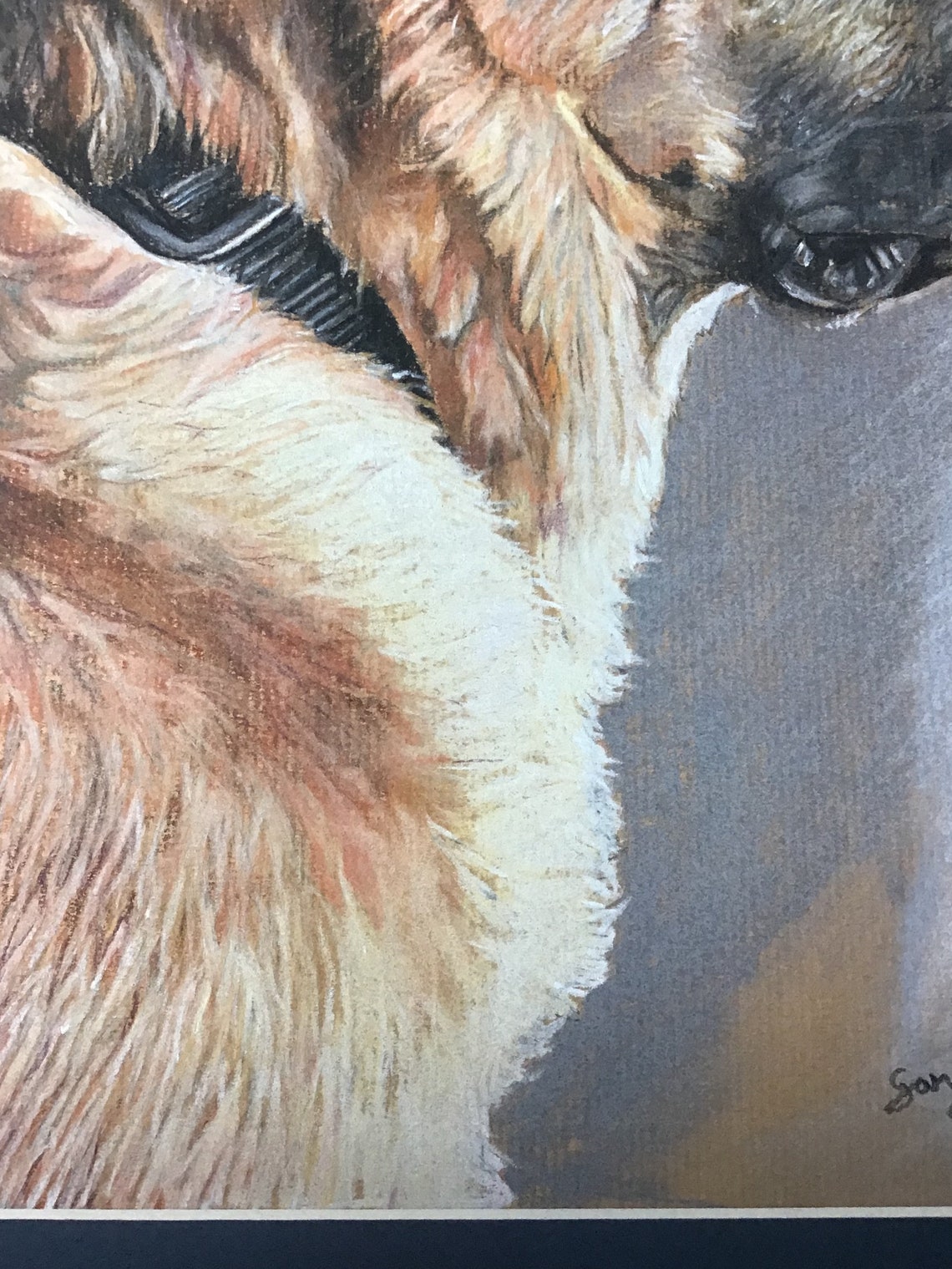 Alsatian Dog in Pastel Drawing, Pet Profile alsatian Original Artwork ...