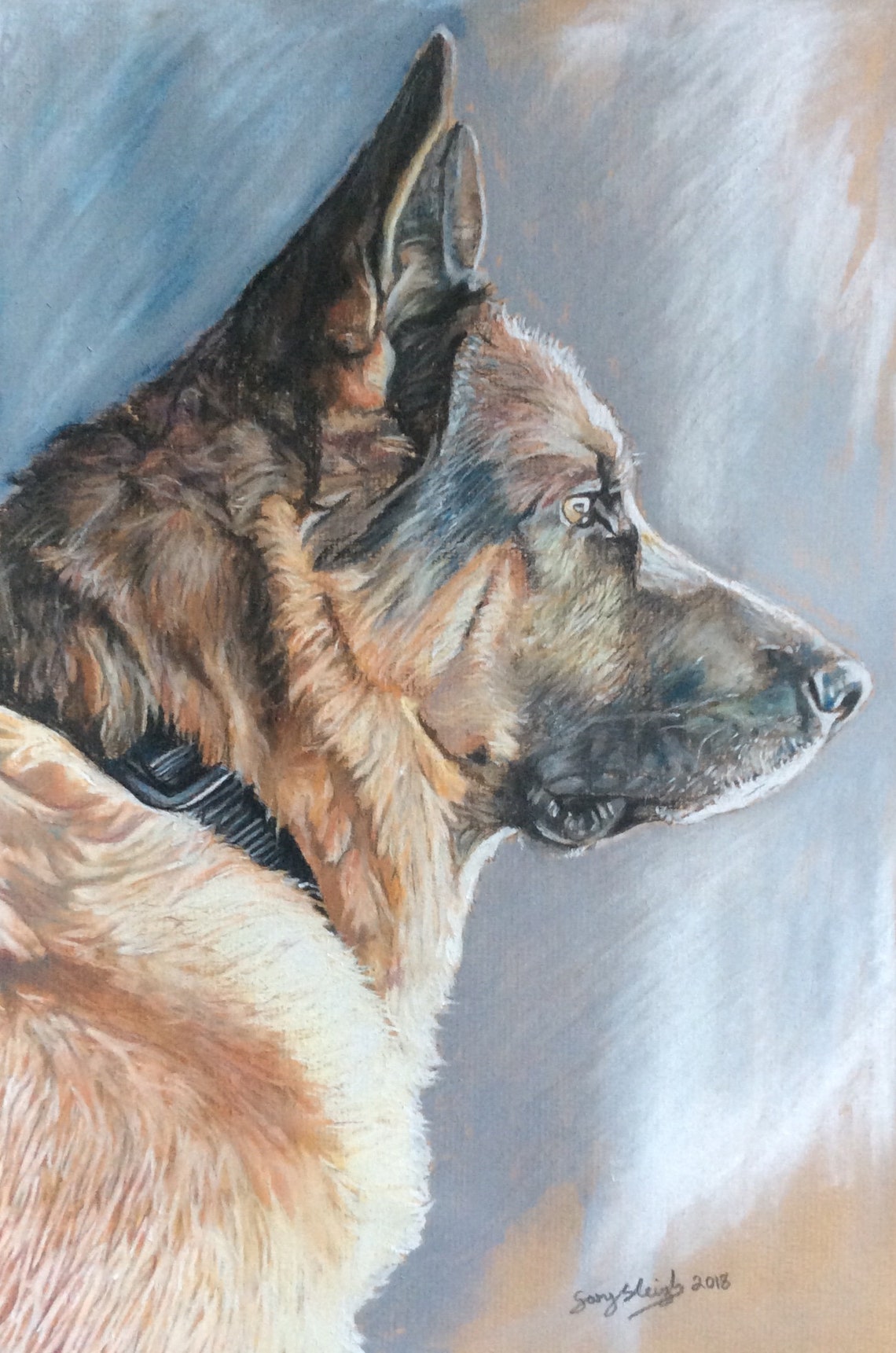 Alsatian Dog in Pastel Drawing, Pet Profile alsatian Original Artwork ...