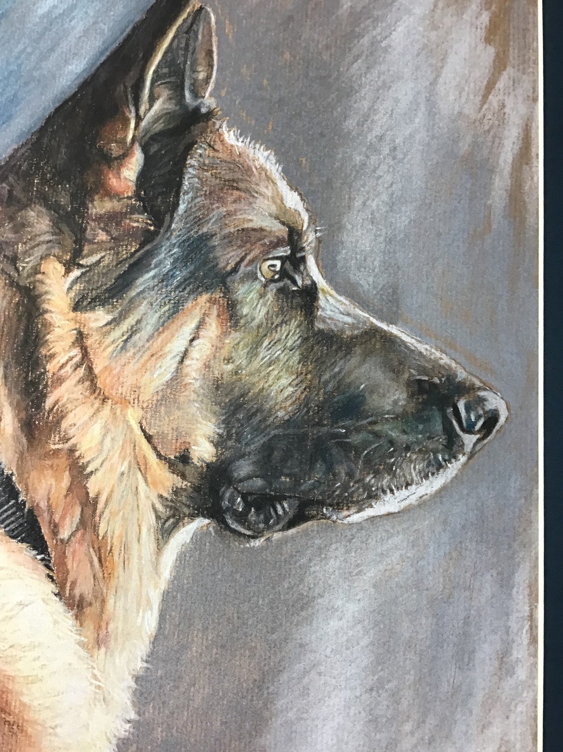 Alsatian Dog in Pastel Drawing, Pet Profile alsatian Original Artwork ...