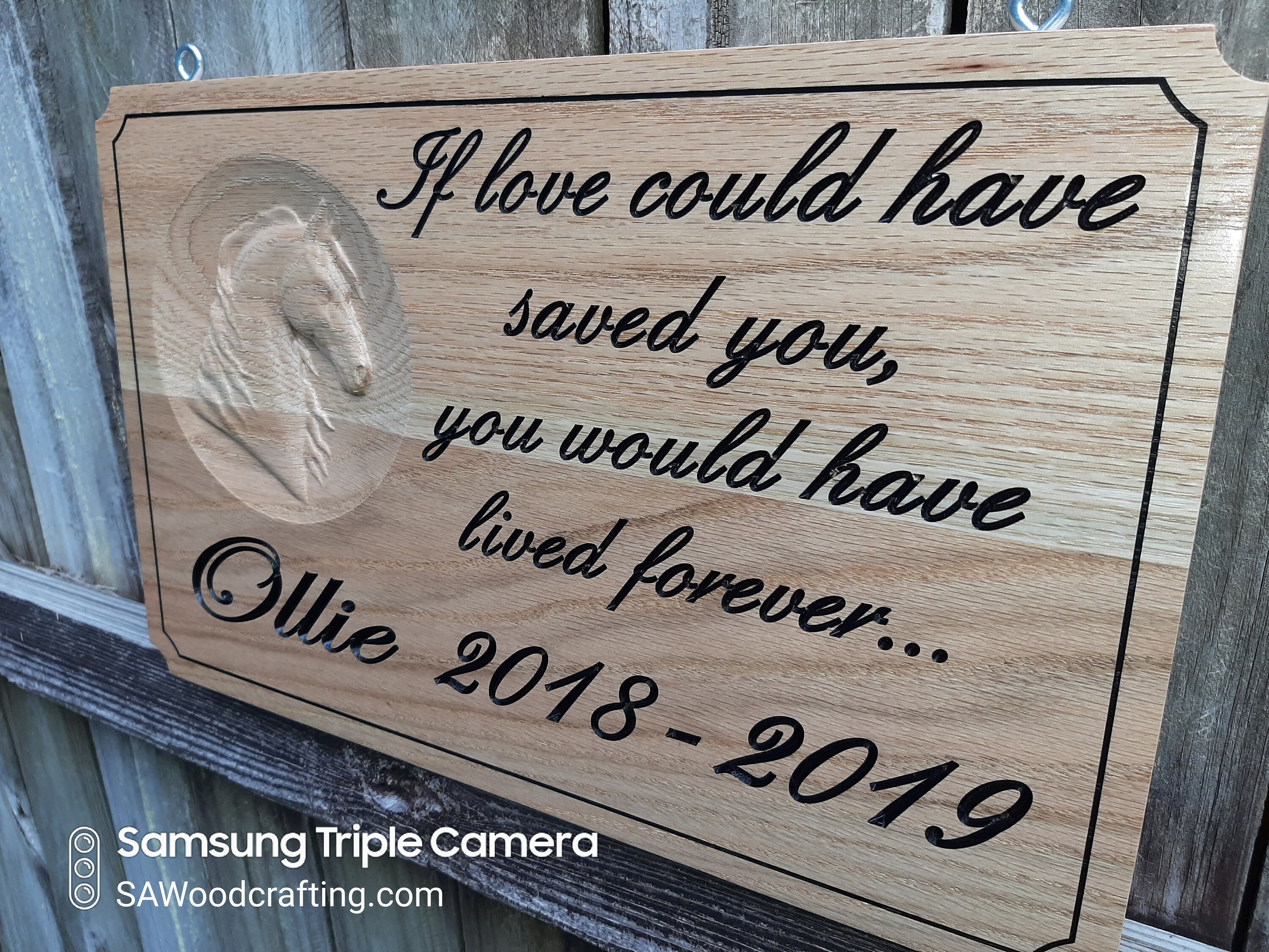 Personalized Pet Memorial Sign Pet Loss in Memory of Plaque - Etsy