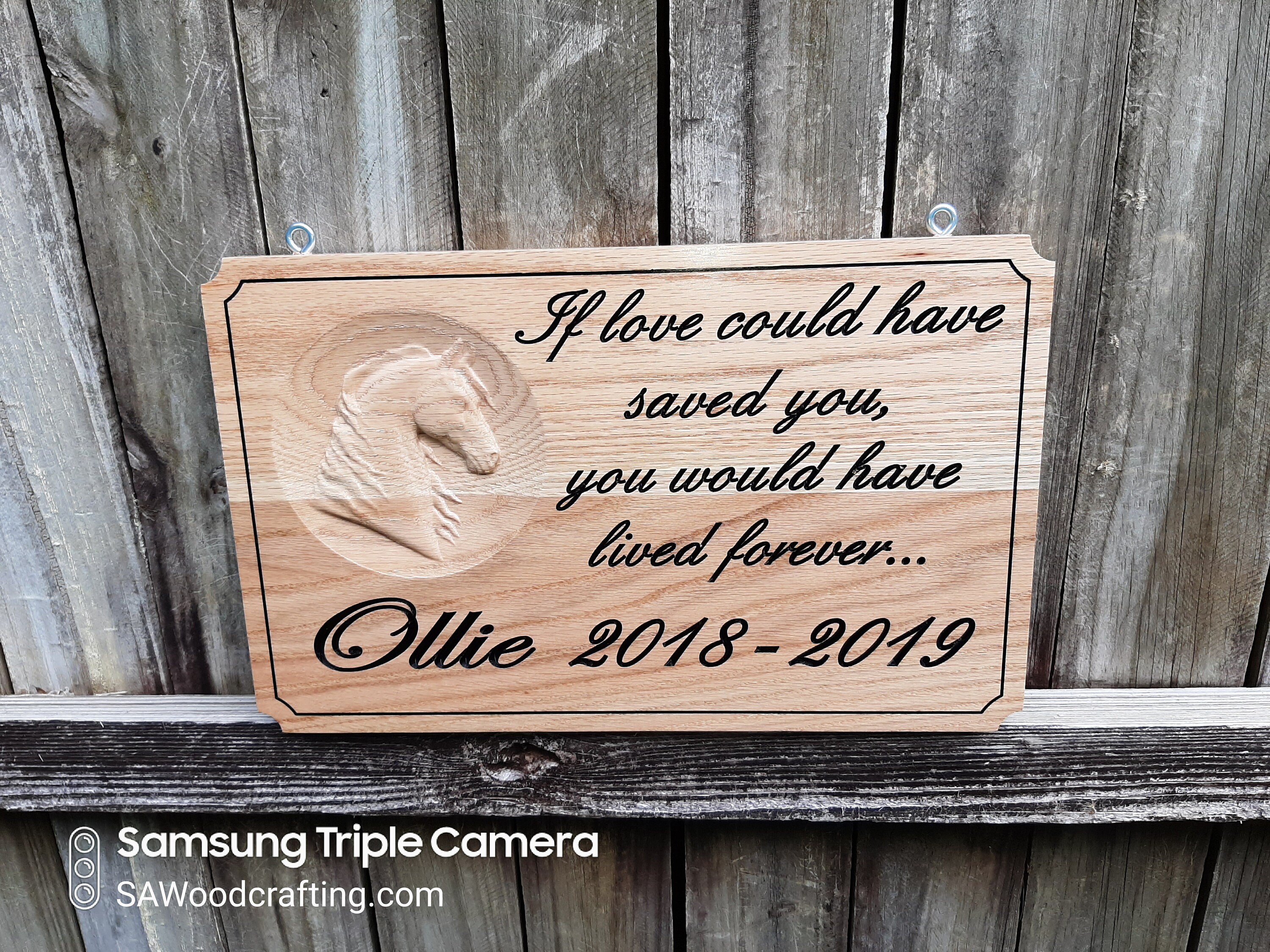 Personalized Pet Memorial Sign Pet Loss in Memory of Plaque - Etsy