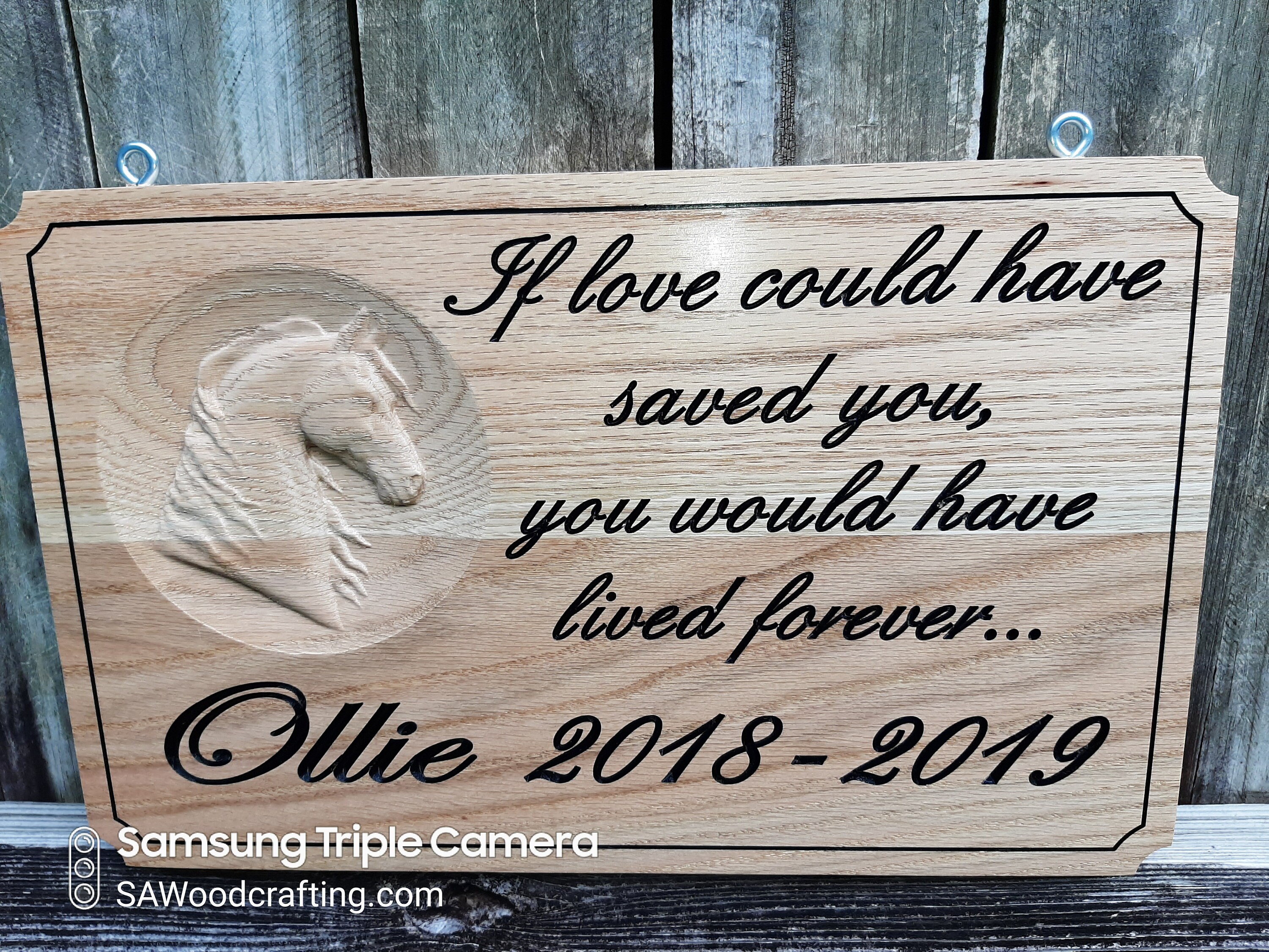 Personalized Pet Memorial Sign Pet Loss in Memory of Plaque - Etsy