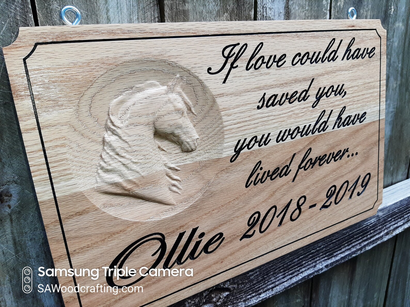Personalized Pet Memorial Sign Pet Loss in Memory of Plaque - Etsy