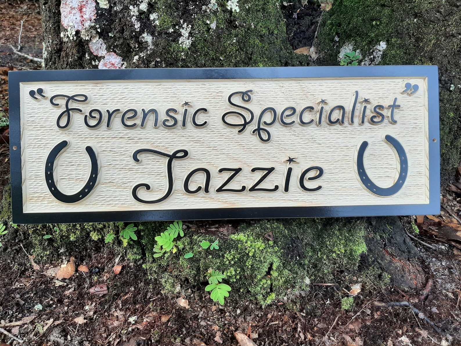 Horse Name Plate Personalized Horse Stall Sign Custom Wood - Etsy