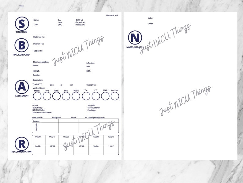 NICU Nursing Report Sheet - Etsy