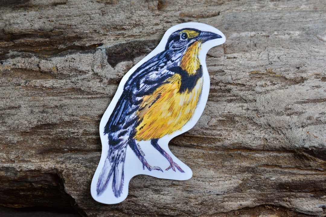 Yellow Bird Vinyl Sticker (western Meadowlark) - Etsy