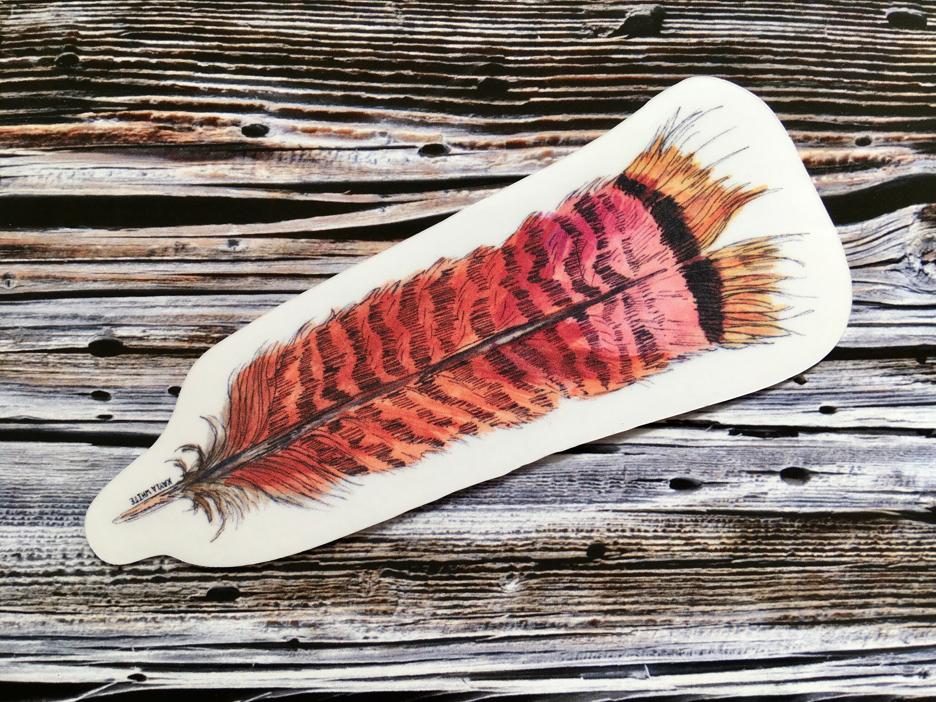 Turkey Vinyl Sticker Set 5 Stickers - Etsy