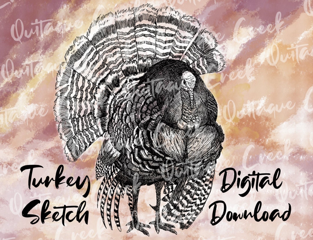 Wild Turkey Illustration Digital Download, Pen and Ink Artwork - Etsy