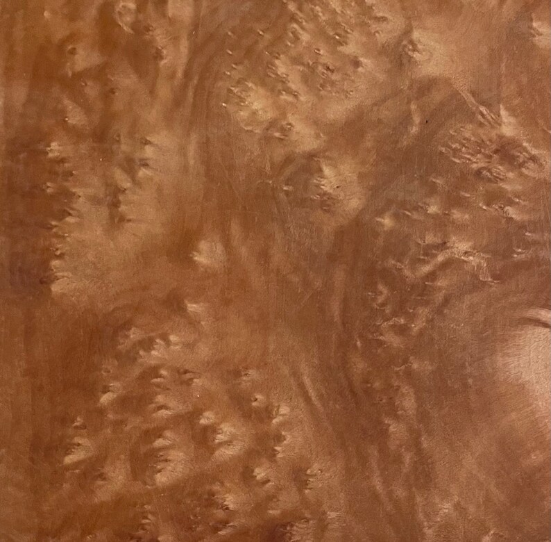 Madrone Burl Wood Craft Sheets. 5 Count. 8L X 8W - Etsy
