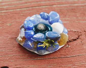 Fake seashells | Etsy