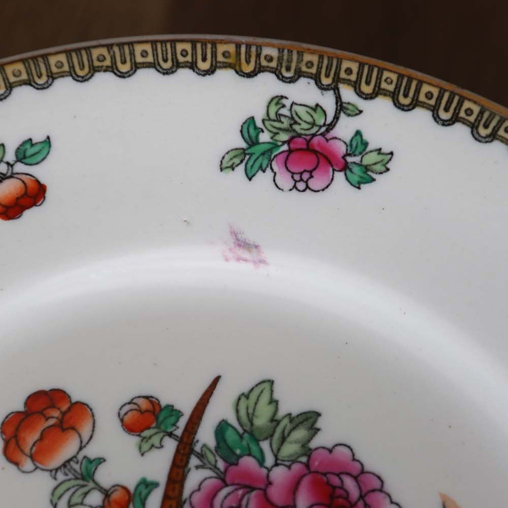 Set of 6 Antique Pheasant 8 Plates Whieldon Ware F. Wimkle - Etsy