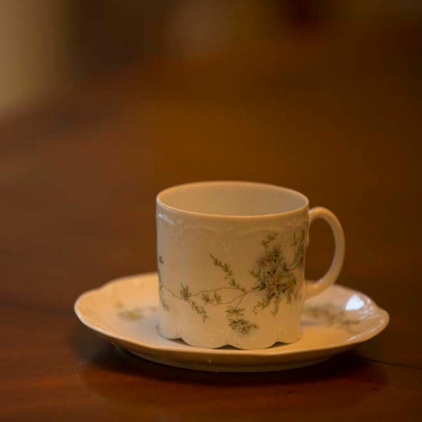 Rosenthal Classic Rose Pattern China - Etsy