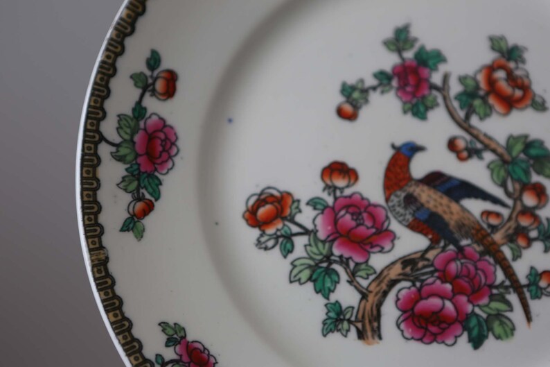Set of 6 Antique Pheasant 8 Plates Whieldon Ware F. Wimkle - Etsy