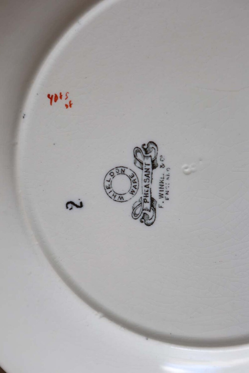 Set of 6 Antique Pheasant 8 Plates Whieldon Ware F. Wimkle - Etsy