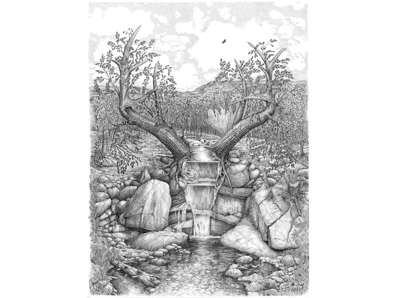 Whitetail Deer Pen and Ink Drawing, Limited Edition Print, Wildlife Art ...