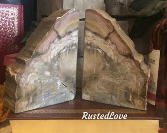 Petrified Wood Book - Etsy