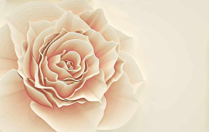 3D Rose Wallpaper Mural – Oversized Textured Beige and Blush Pink ...