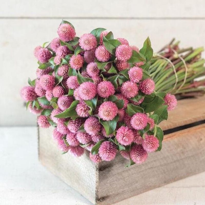 Raspberry and Cream Bouquet - Etsy