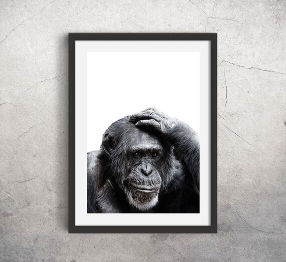 Animal Portrait Monkey Digital Print Printable Print | Etsy