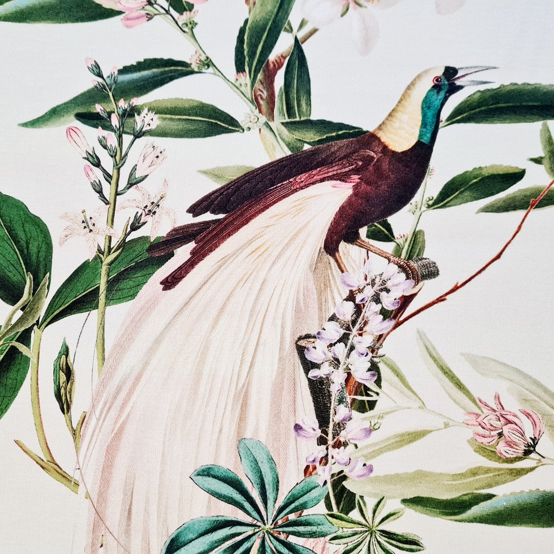 Fabric Cotton Satin paradiser Cream Birds of Paradise Flowers Twigs - Etsy