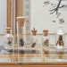 Real Pollinator Insect in Vial YOUR CHOICE Dried Bee Variety Dried ...