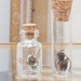 Real Pollinator Insect in Vial YOUR CHOICE Dried Bee Variety Dried ...