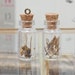 Real Pollinator Insect in Vial YOUR CHOICE Dried Bee Variety Dried ...