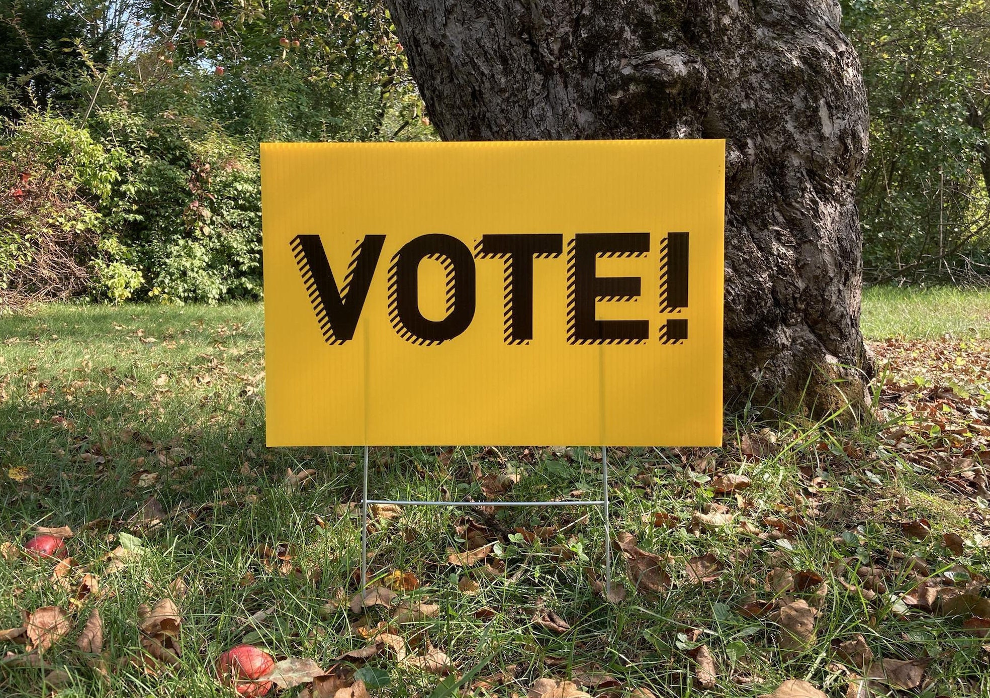Vote Yard Signs - Etsy