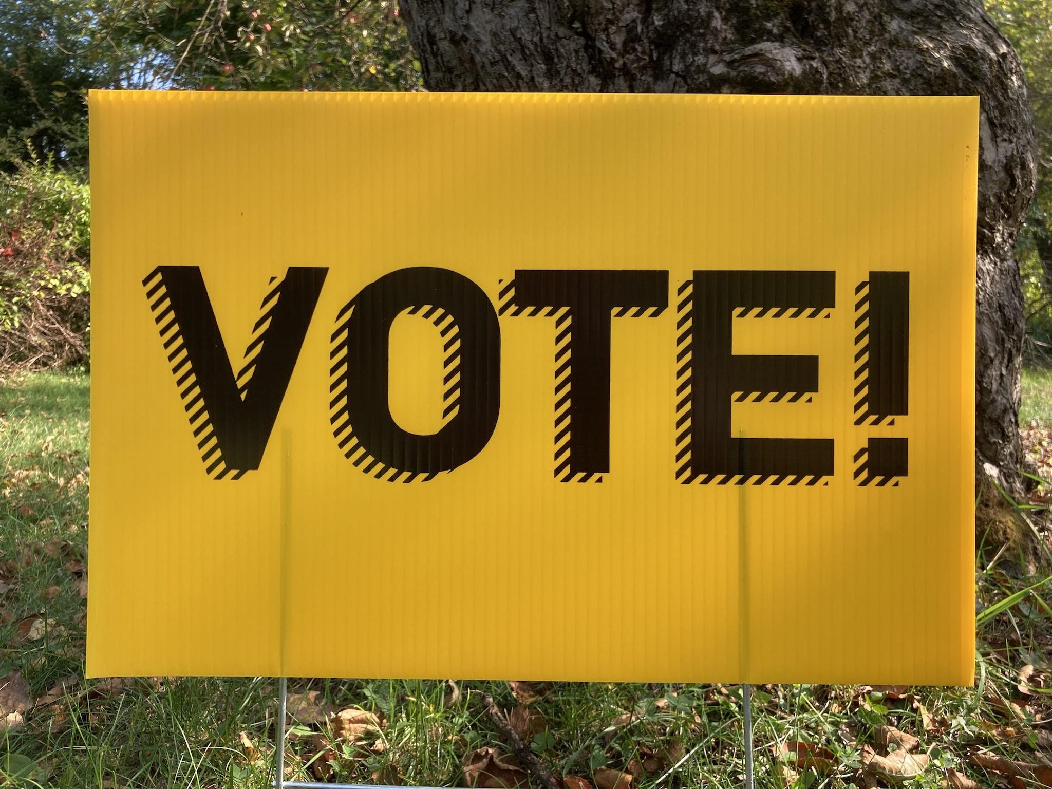 Vote! Yard Signs - Etsy
