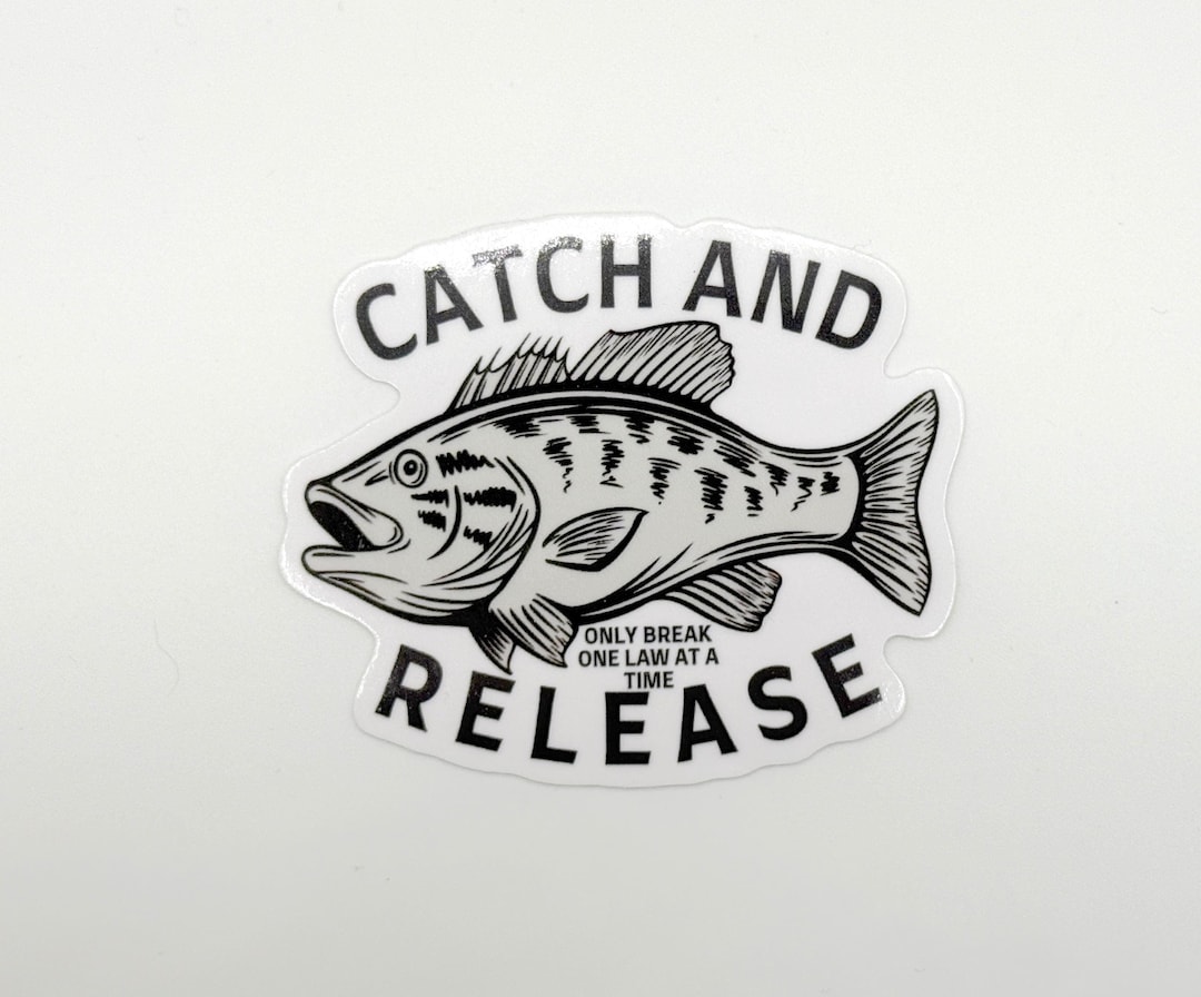 3" Catch and Release Fish Sticker | In/outdoor Vinyl Sticker | Window ...
