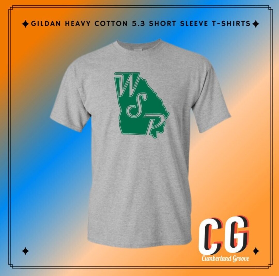 WSP State of Georgia | Panic Inspired Fan Art | Widespread Art | WSP ...